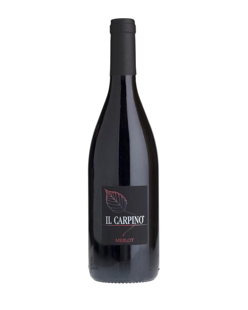Merlot Doc Isonzo | Il Carpino, Italy